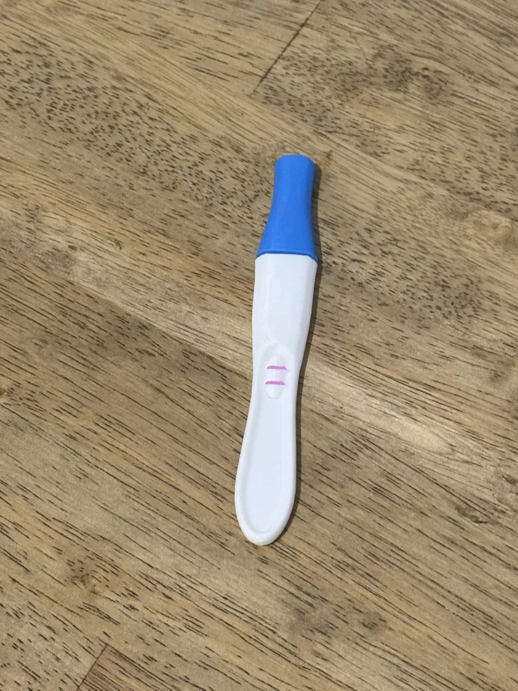 Fake Pregnancy Test (No AMS) – 3D Print Prank - Free 3D Print Model ...