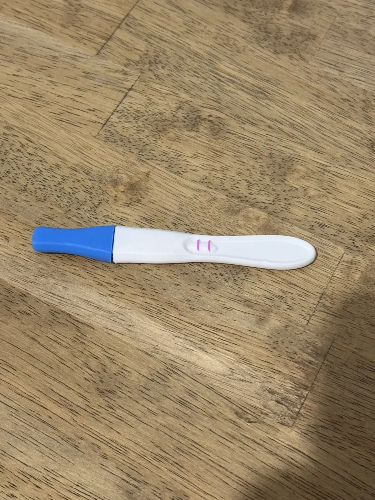 Fake Pregnancy Test (No AMS) – 3D Print Prank - Free 3D Print Model ...