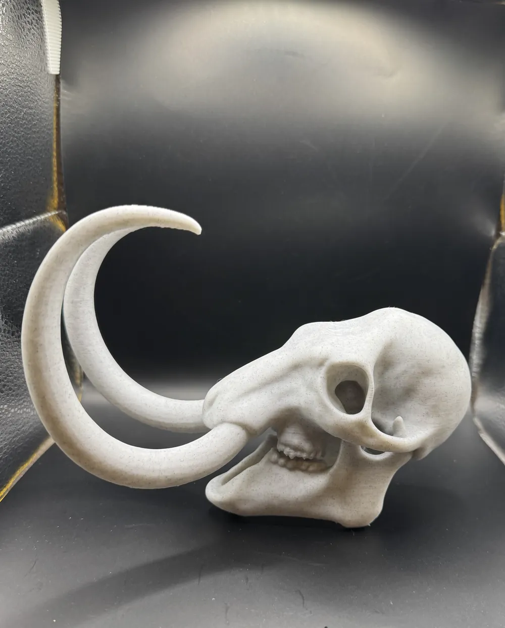 Woolly Mammoth Skull - Free 3D Print Model - MakerWorld