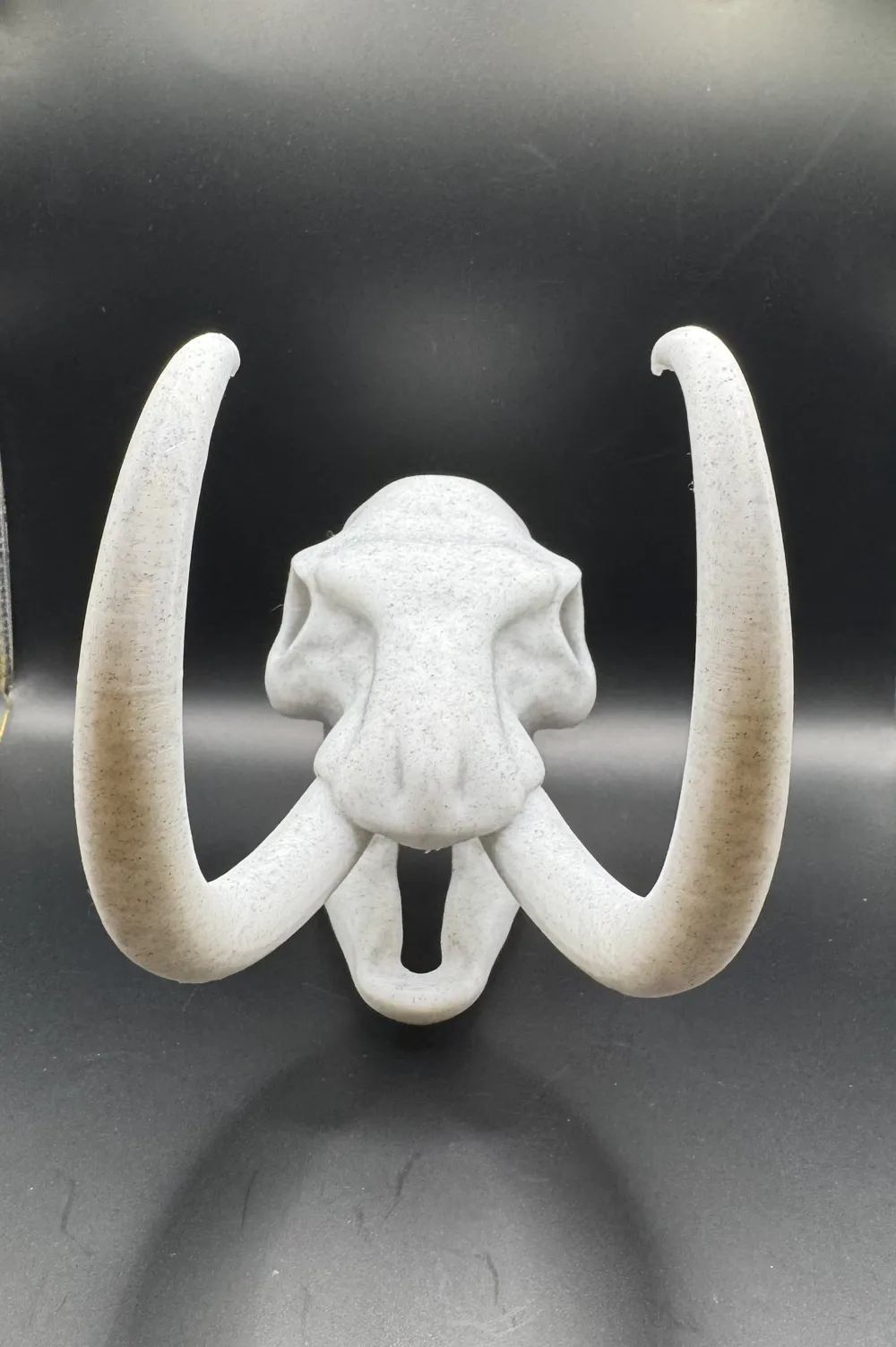 Woolly Mammoth Skull by Eagleeye497 MakerWorld: Download Free 3D Models