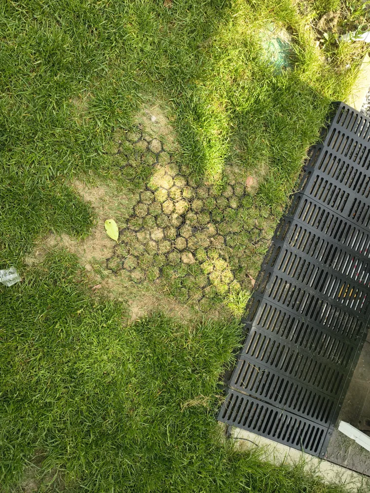 Grass Protection Hex Tile (226×190mm) Flat or Grip by ccrccrdk ...