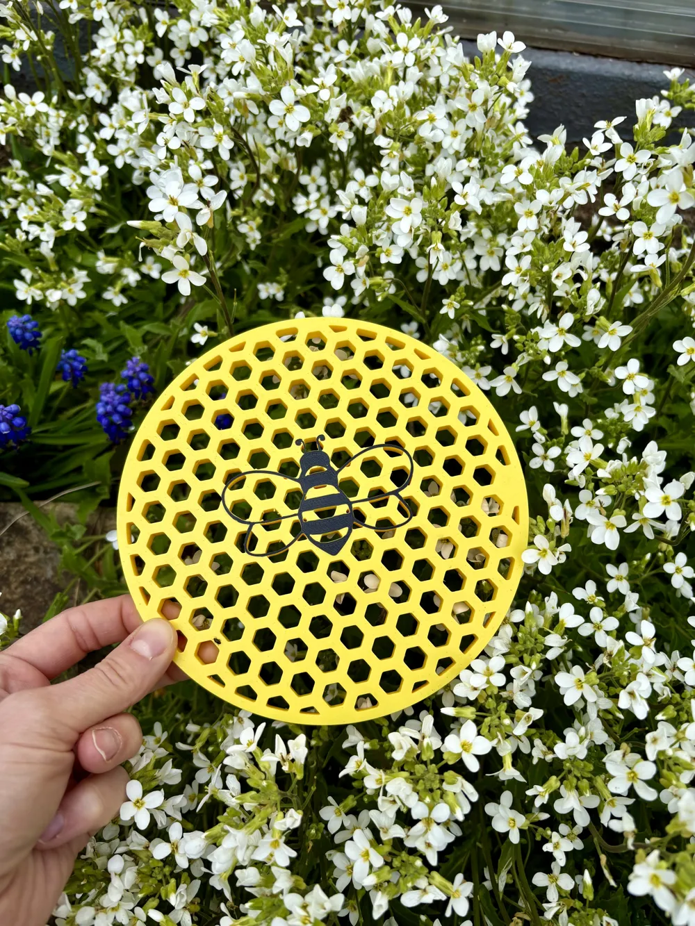 Honeycomb Bee & Insect Watering Station - Free 3D Print Model - MakerWorld