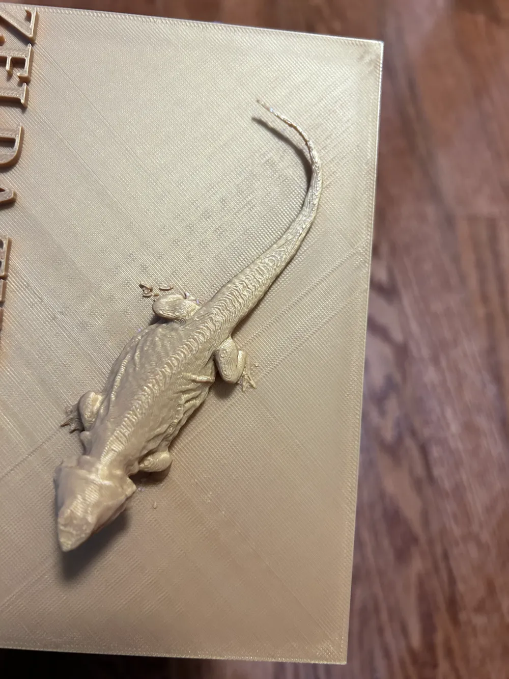 Bearded dragon. 3d scanned. - Free 3D Print Model - MakerWorld