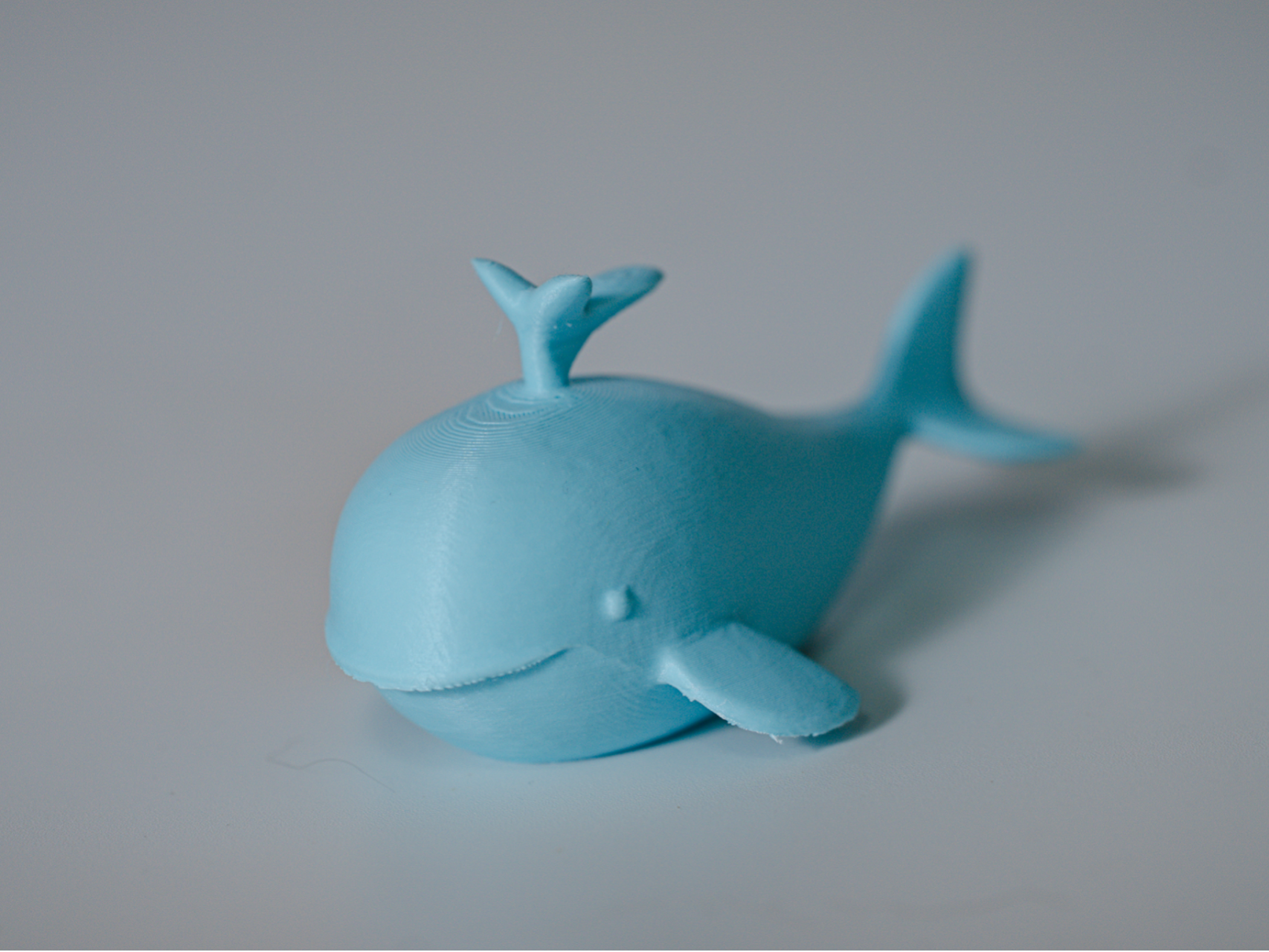 Whale by zoedad MakerWorld: Download Free 3D Models