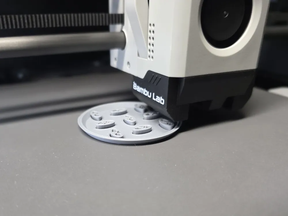 Print in Place Maraca - NO SUPPORTS - 2025 Edition - Free 3D Print ...