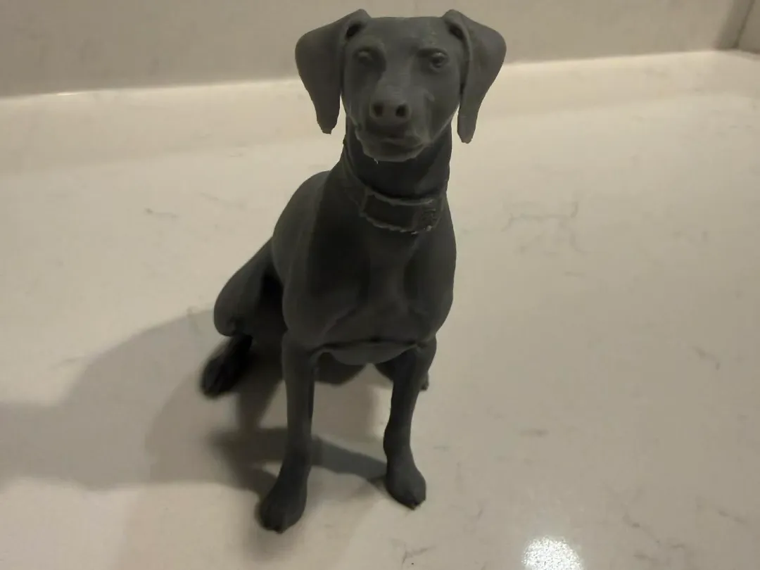 derp weimaraner - Free 3D Print Model - MakerWorld