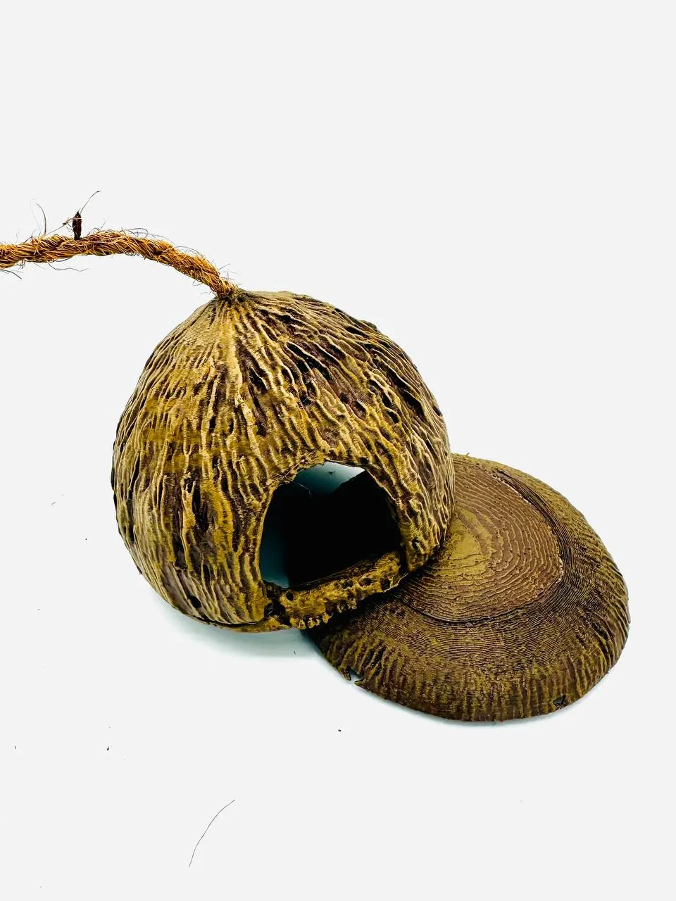 Coconut Hideout - Free 3D Print Model - MakerWorld