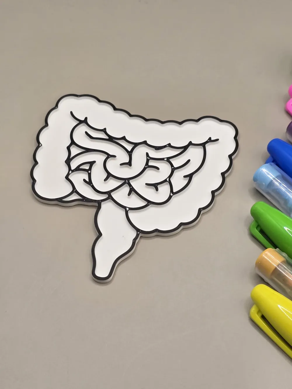 Intestines Coloring Craft Anatomy Abdominal - Free 3D Print Model ...