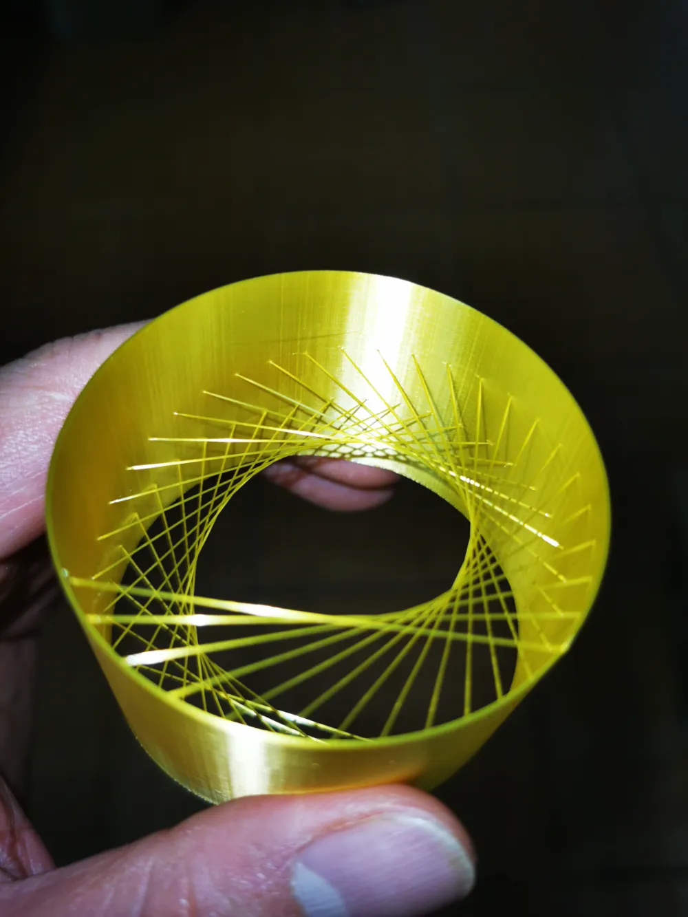 Suspended wire 3D printing 悬丝3D打印 - Free 3D Print Model - MakerWorld