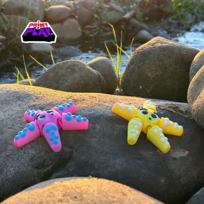 Cute Flexi Fidget Starfish - Free 3D Print Model - MakerWorld