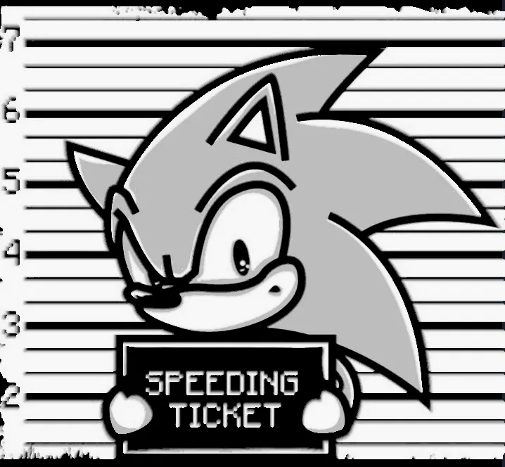 Sonic Wall Art / Funny / Mugshot / Video Game / Decor by 3D Prints This ...