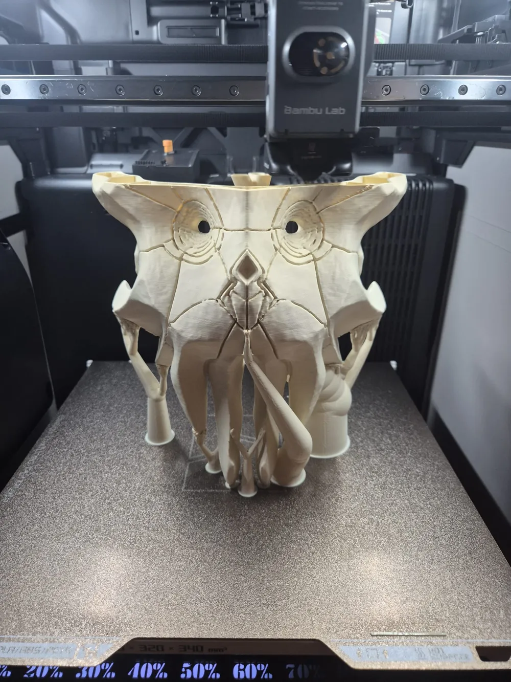Skyrim Miraak Cultist mask - Free 3D Print Model - MakerWorld