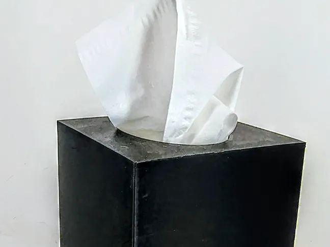 Tissue Box - Cube by user_1343476306 MakerWorld: Download Free 3D Models