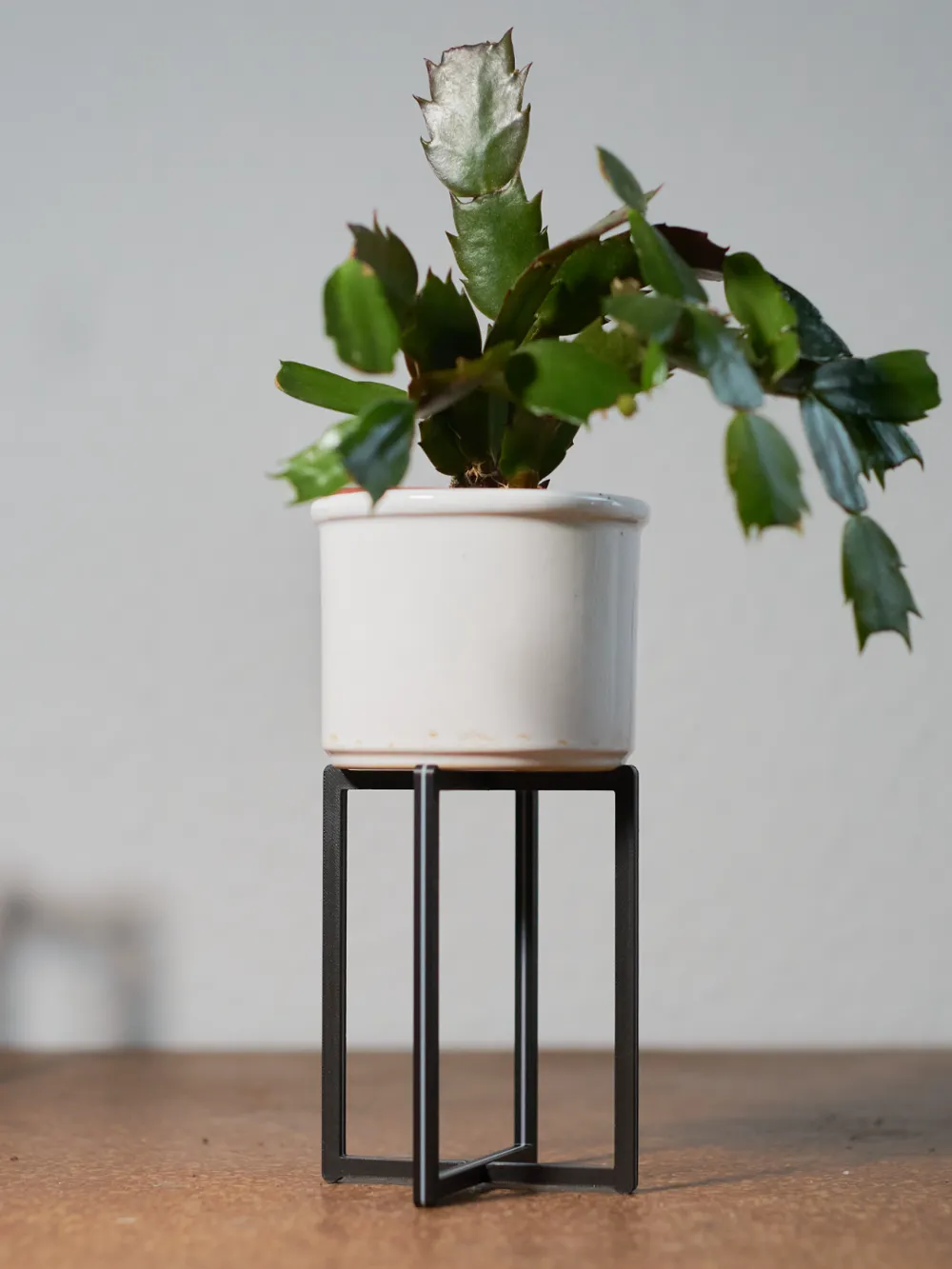 Snap Fit Planter Stands - Free 3D Print Model - MakerWorld