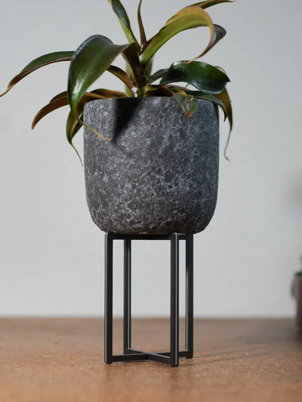 Snap Fit Planter Stands - Free 3D Print Model - MakerWorld