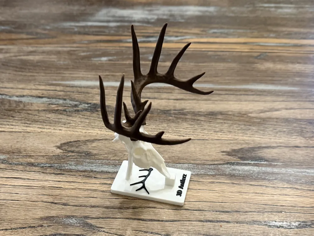 14 Point Monster Whitetail Deer - Free 3D Print Model - MakerWorld