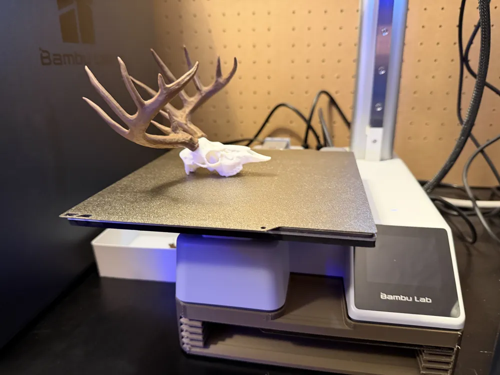 14 Point Monster Whitetail Deer - Free 3D Print Model - MakerWorld