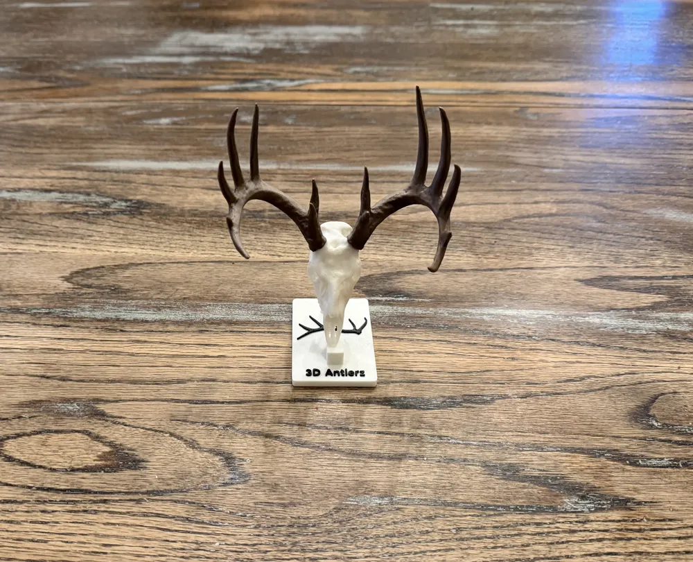 14 Point Monster Whitetail Deer - Free 3D Print Model - MakerWorld
