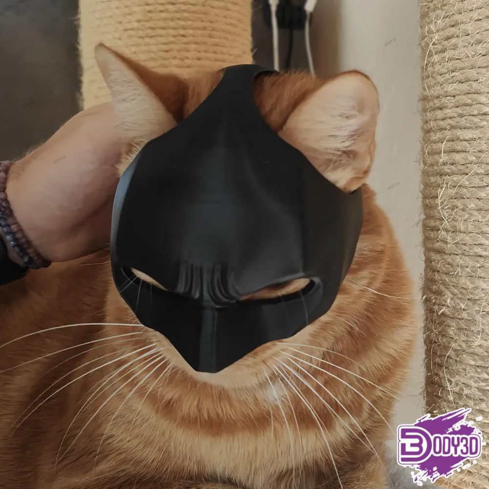 Batman Cat Mask Remixed by BODY3D - MakerWorld