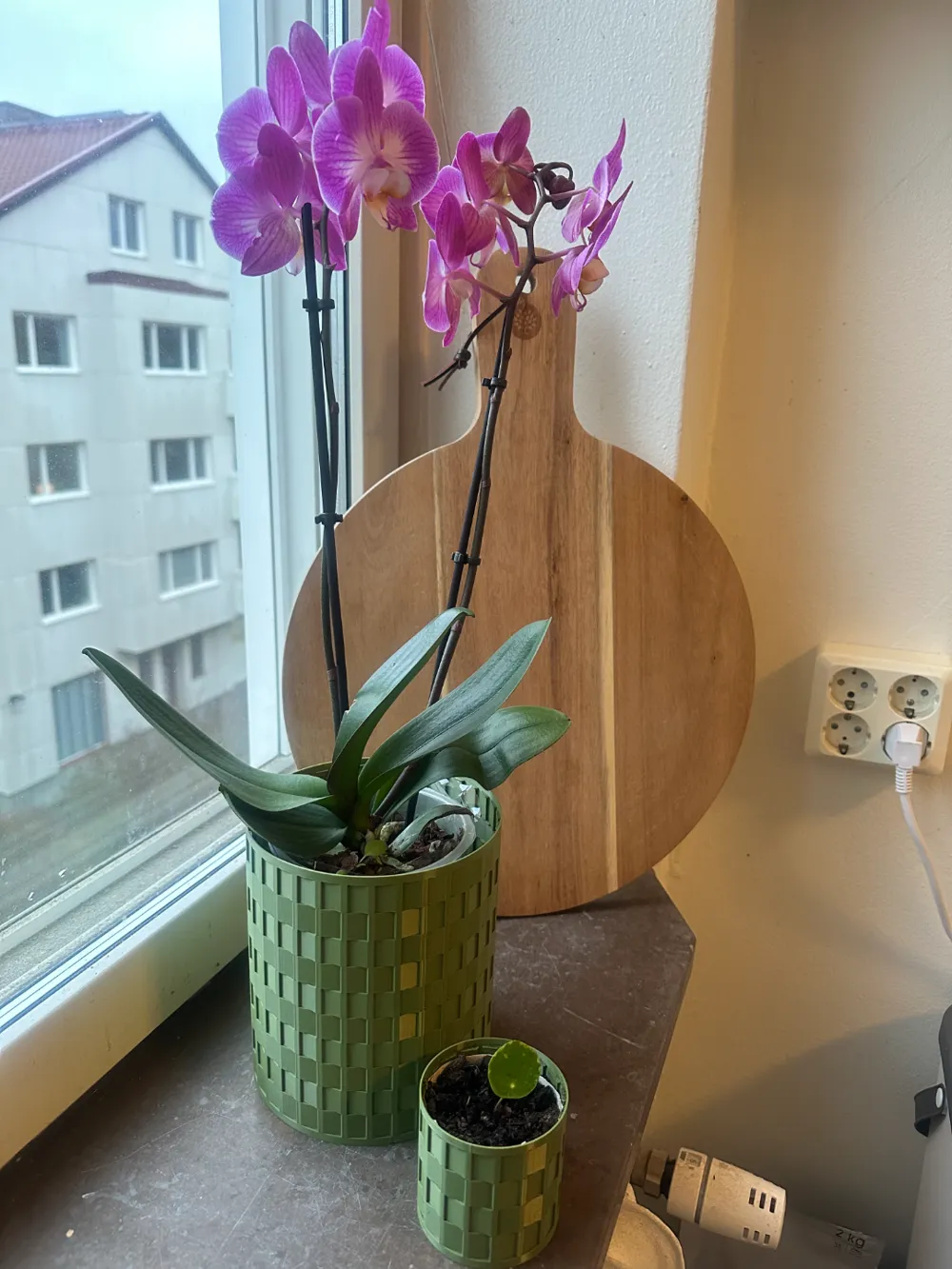 Weave inspired plant pots by Bero - MakerWorld