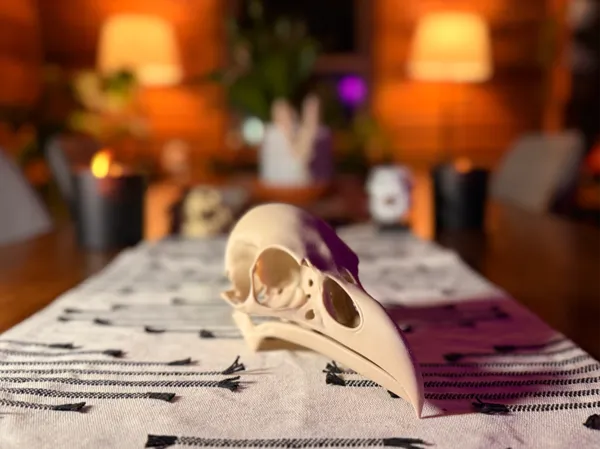 Wonderthing | Collections - MakerWorld