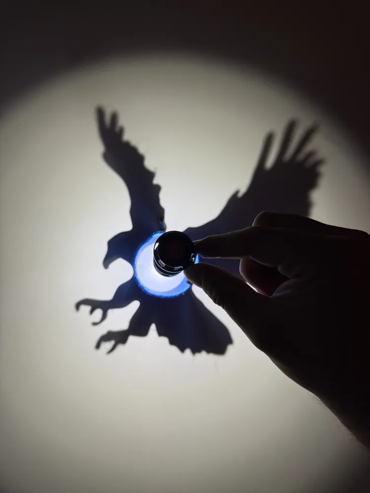 Eagle Shadow Illusion – Anamorphic 3D Sculpture by SirDavid MakerWorld ...