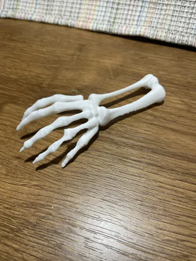 3d printed skeleton hand - MakerWorld