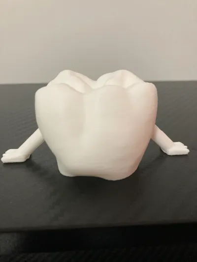 Articulated Tooth by Nshark3dMakerWorld: Download Free 3D Models