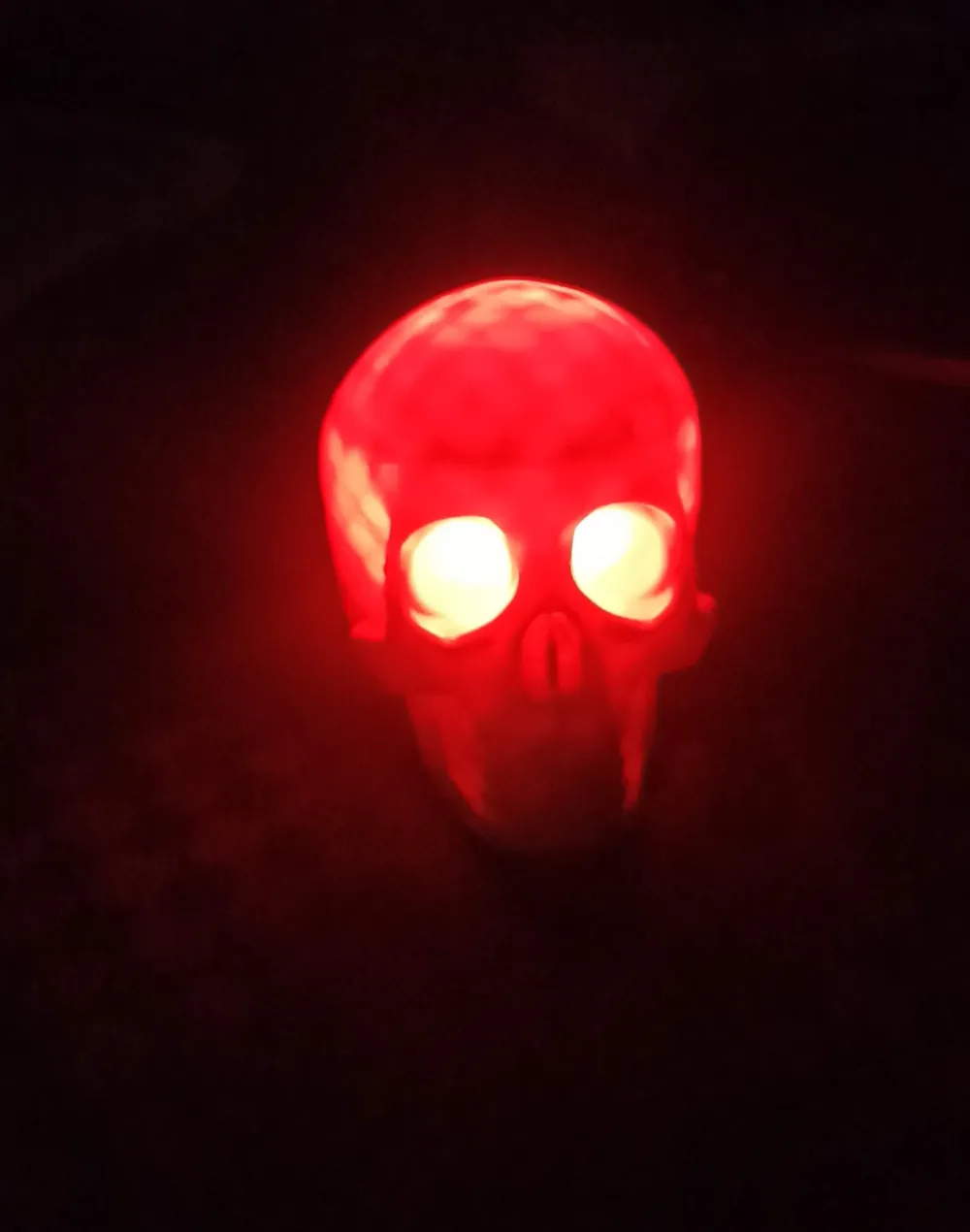 1:1 human skull - 2 versions by Savo222 - MakerWorld