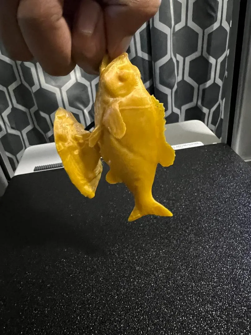 Large Mouth Bass Trophy - Free 3D Print Model - MakerWorld