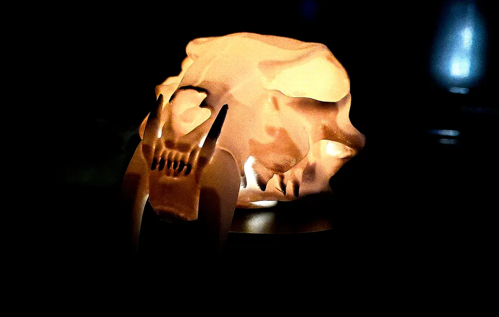 Sabertooth Skull - Light by DTM247 MakerWorld: Download Free 3D Models