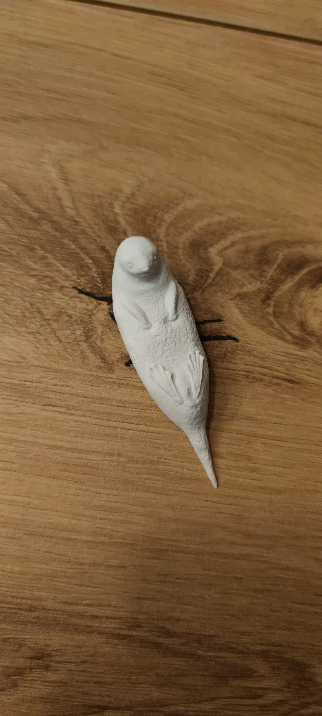 Cute mini otter by piotr.s - MakerWorld