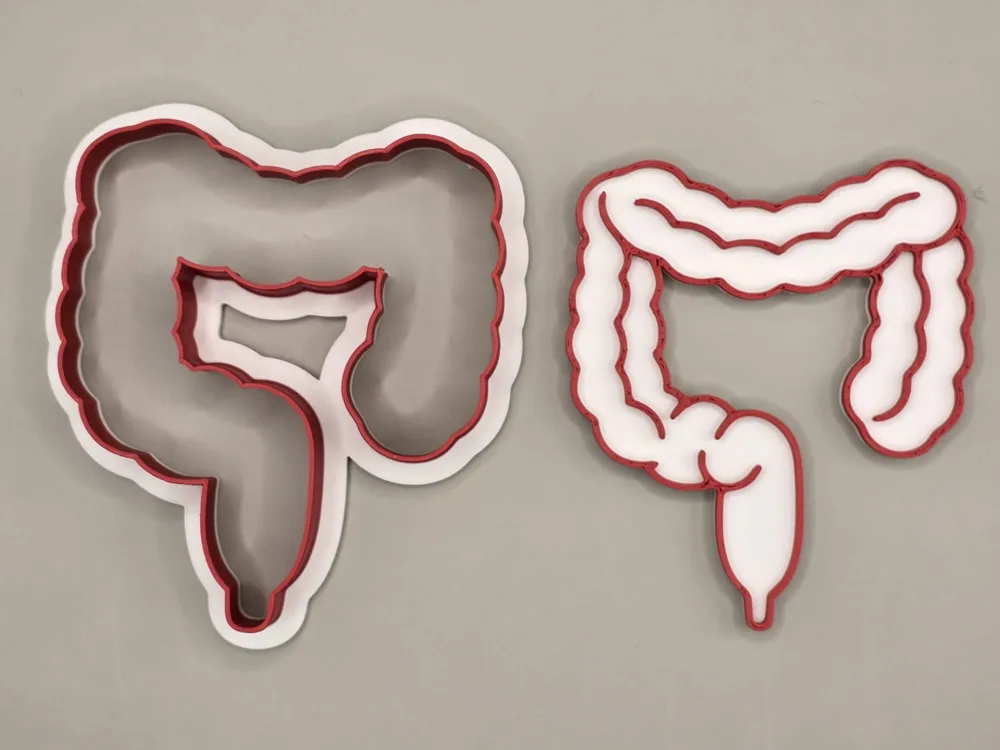 Colon Organ Cutter Cookie Stamp Anatomy Playdoh - Free 3D Print Model ...