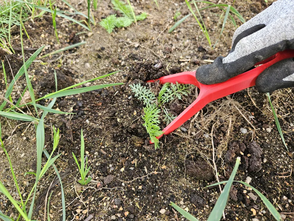 Wire Weeder - A weeding tool by The Ingenious Tinkerer MakerWorld ...
