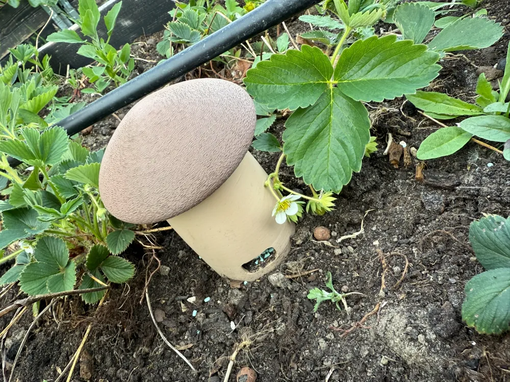 Modular Slug Trap for Invasive Slugs by SBrandsborg MakerWorld ...