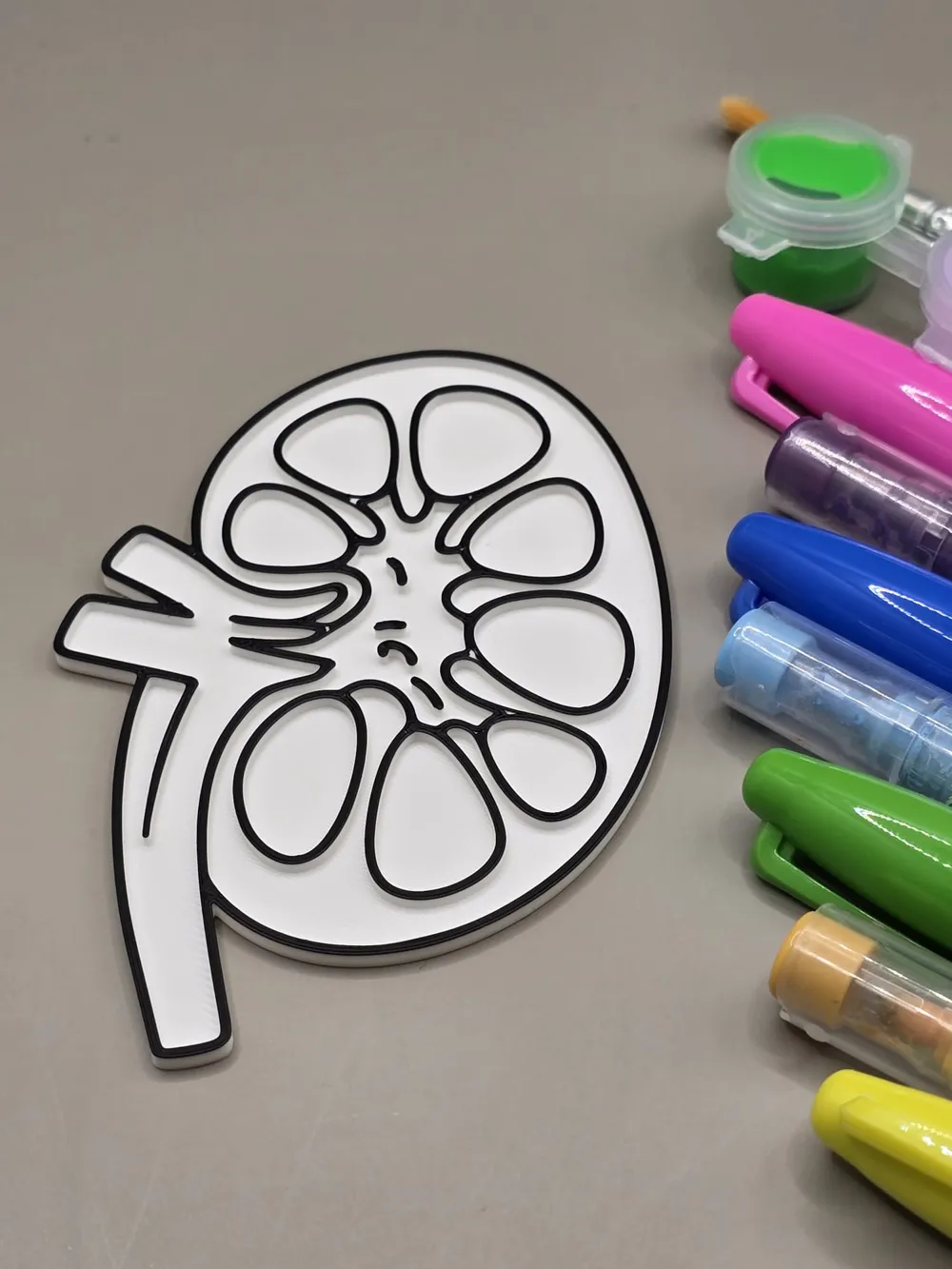 Kidney Anatomy Coloring Craft Human Body Organ - Free 3D Print Model ...
