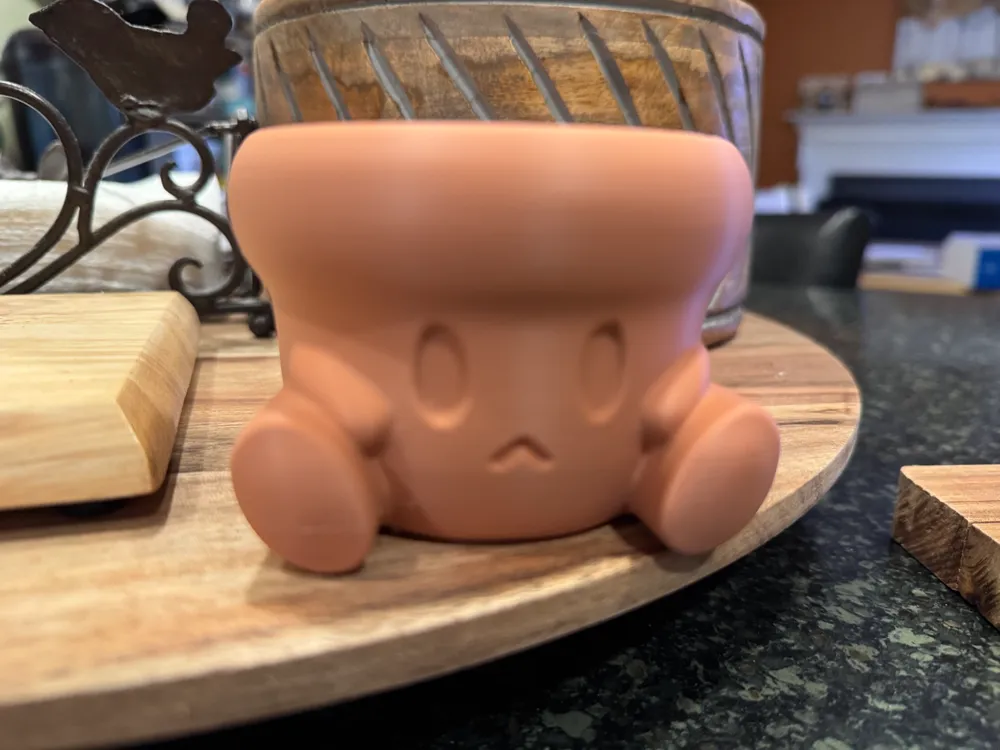 Sad Succulent Pot by Ravitch - MakerWorld