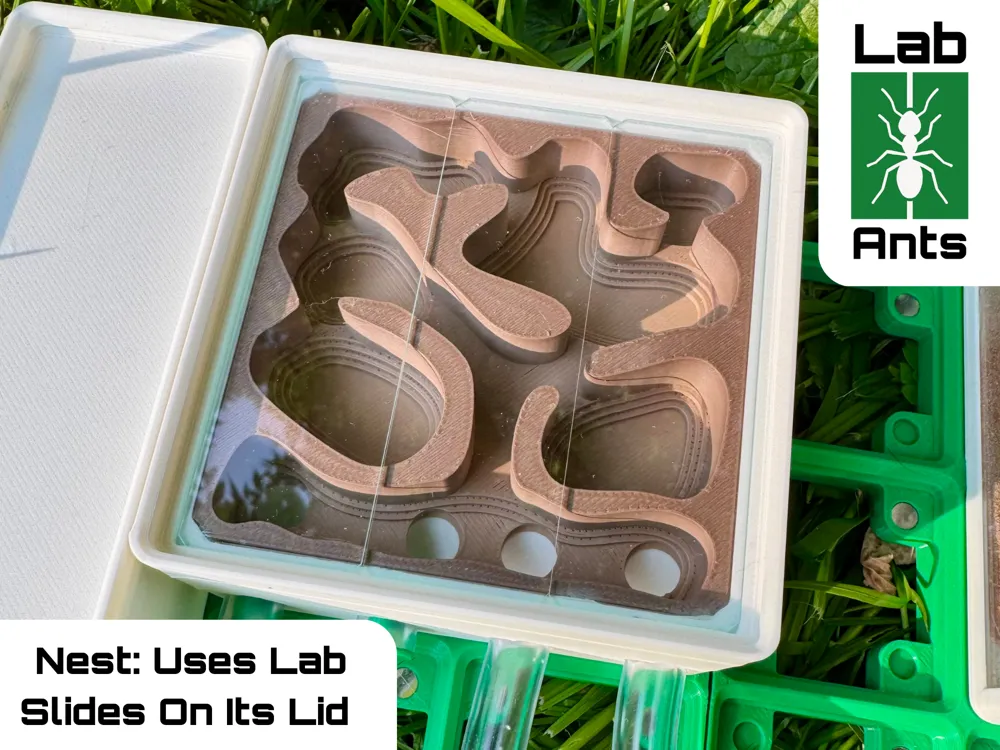 Lab Ants: A Modular Ant Formicarium by Galacticat MakerWorld: Download ...