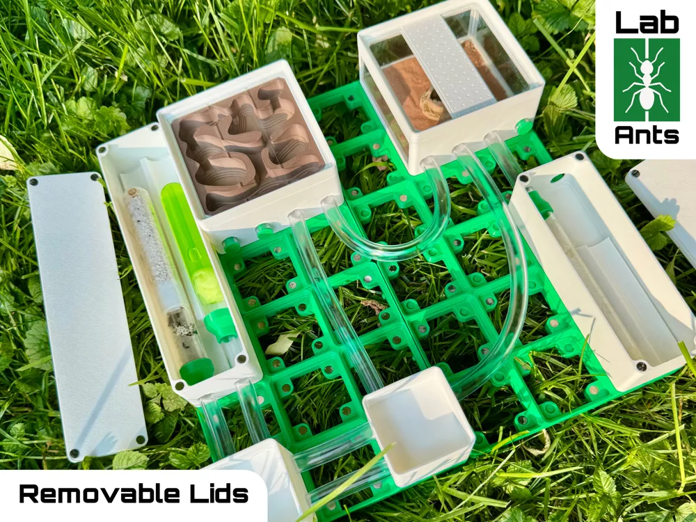 Lab Ants: A Modular Ant Formicarium by Galacticat MakerWorld: Download ...