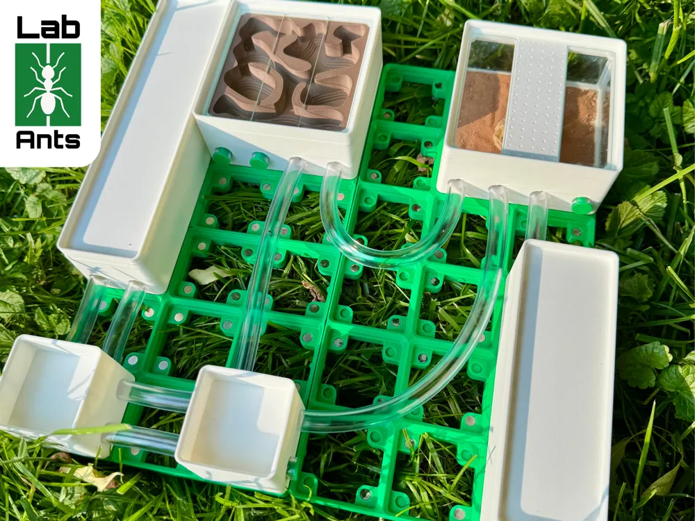 Lab Ants: A Modular Ant Formicarium by Galacticat MakerWorld: Download ...