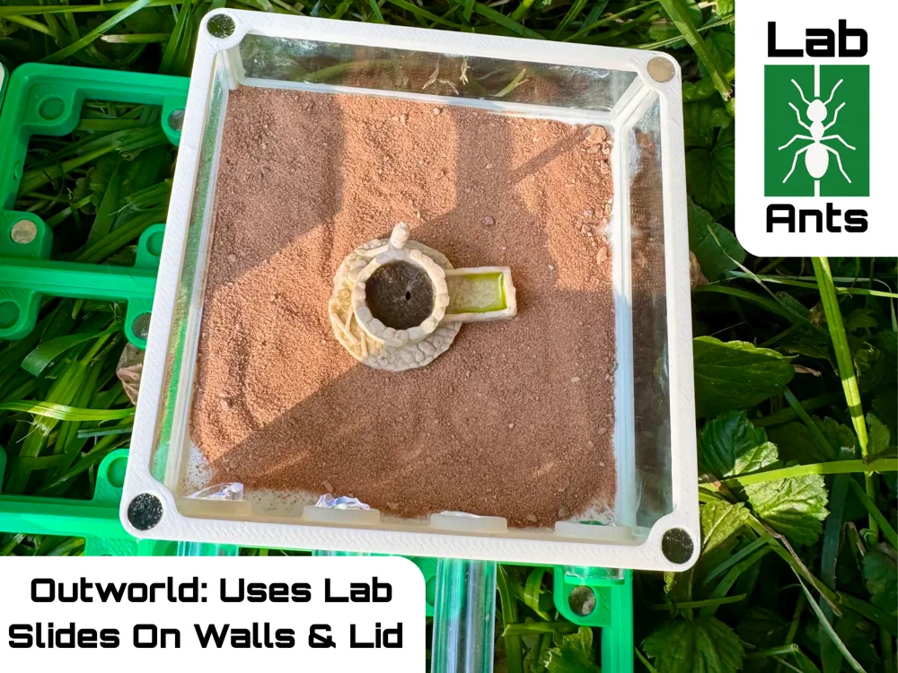 Lab Ants: A Modular Ant Formicarium by Galacticat MakerWorld: Download ...