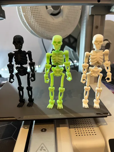 posable skeleton 13 on a kit card Remixed by Neptune MakerWorld ...