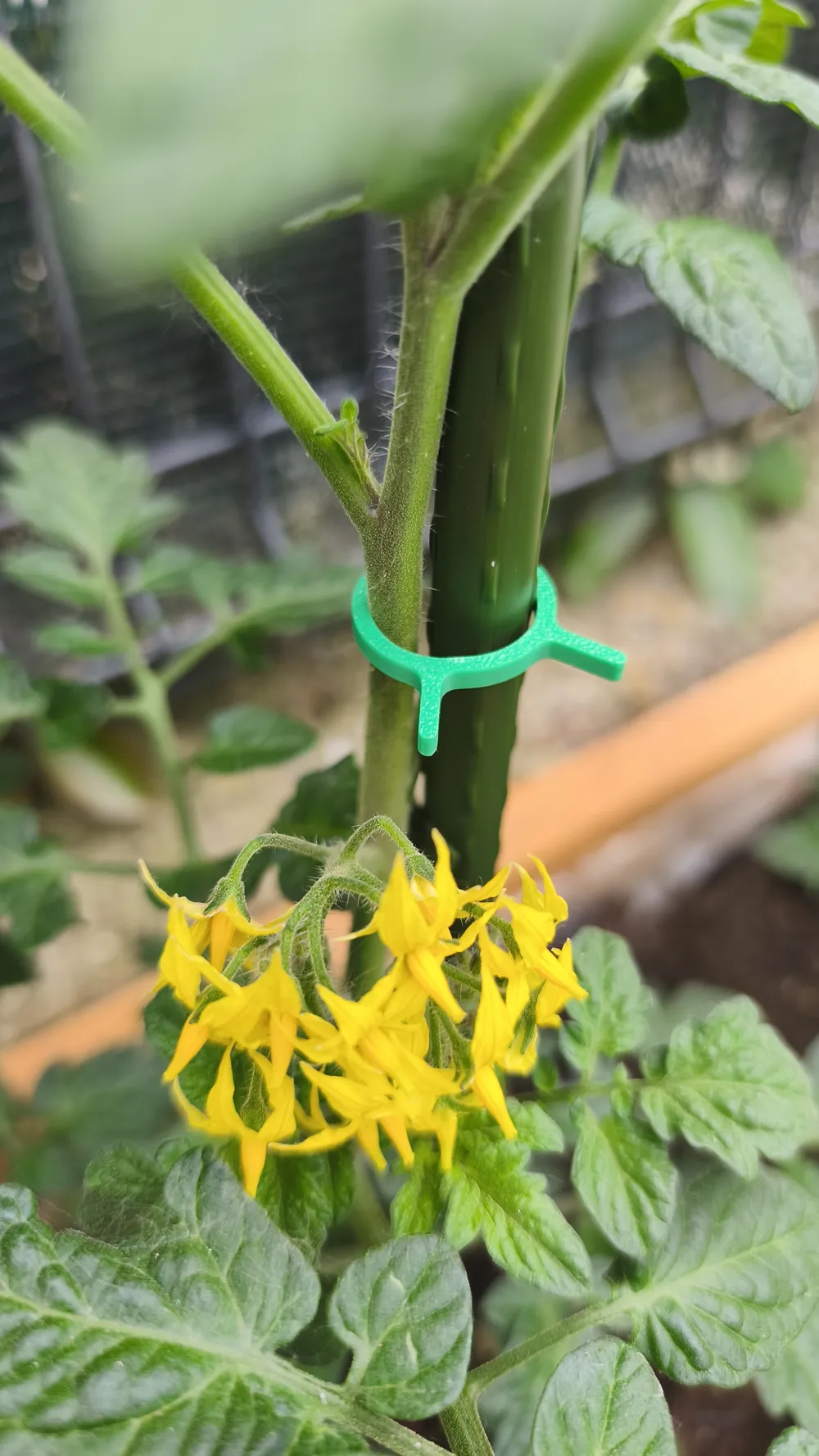 Plant Lock by 3dLabItalyMakerWorld: Download Free 3D Models