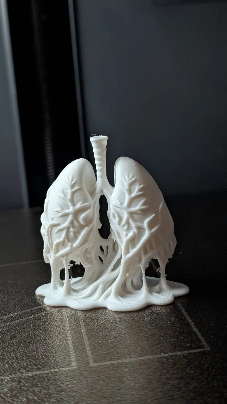 anatomical lung by Dexter MakerWorld: Download Free 3D Models