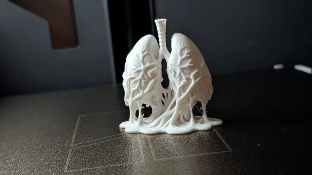 anatomical lung - Free 3D Print Model - MakerWorld