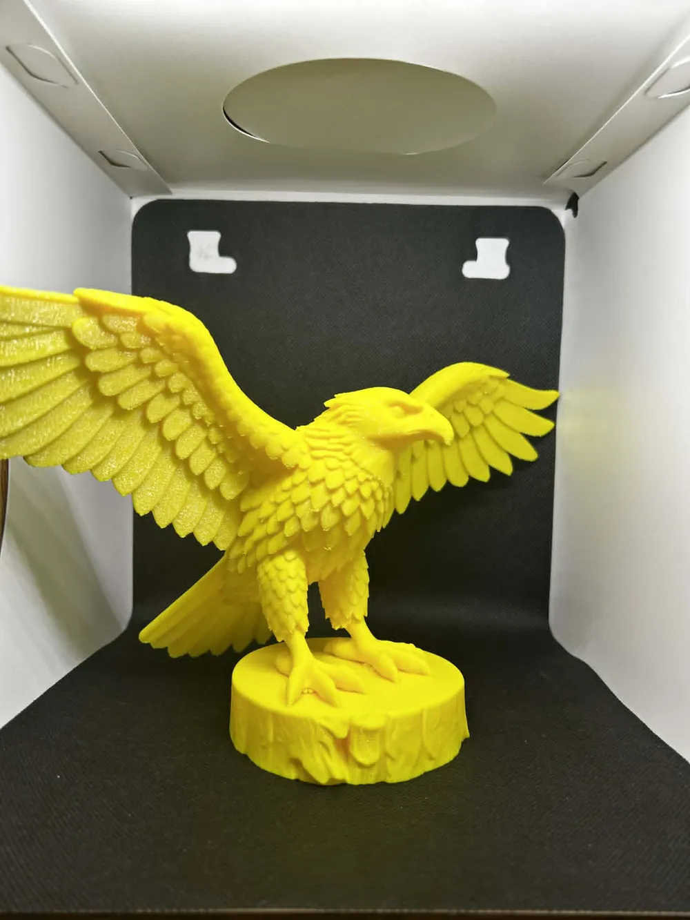 Eagle - Free 3D Print Model - MakerWorld