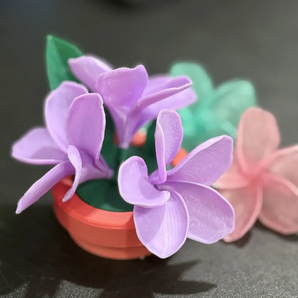 鸡蛋花 来自 Bruce Design MakerWorld：免费下载 3D 模型