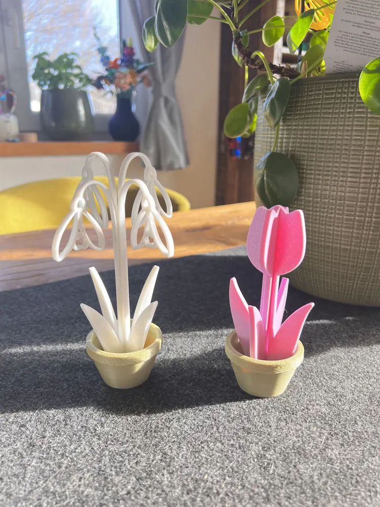 Flowers in a Pot - Spring no AMS - Free 3D Print Model - MakerWorld