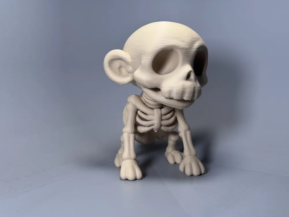 CHIBI SKELE MONKEY! by CorwineCustoms.3D LLC MakerWorld: Download Free ...