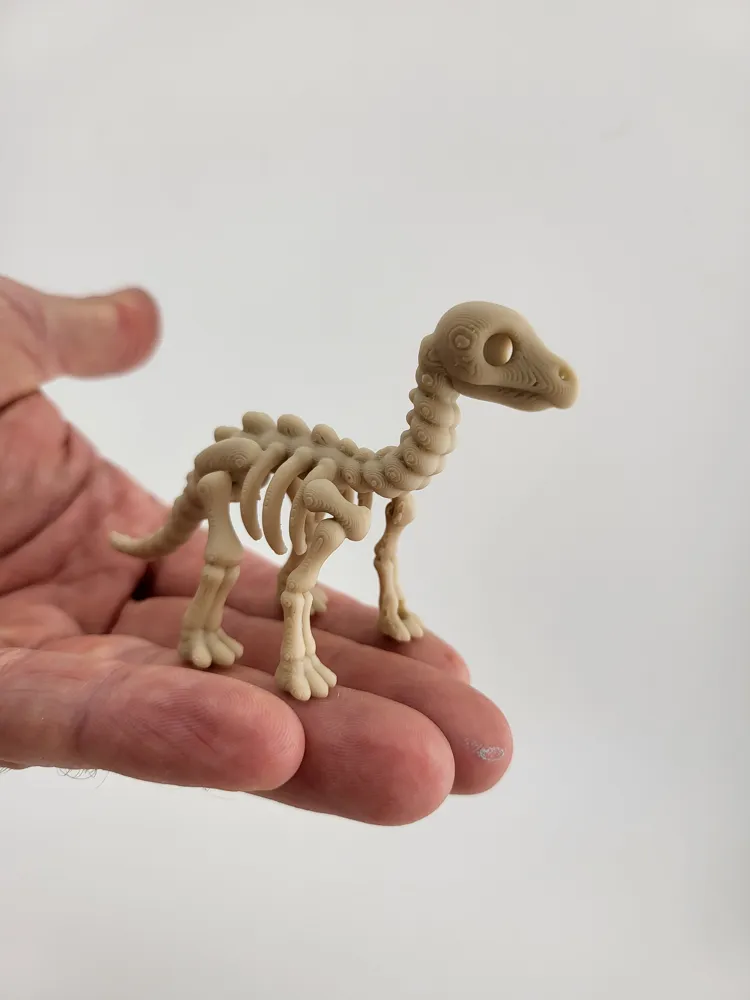 dinosaur skeleton Keychain Prehistoric toy animal - Free 3D Print Model ...